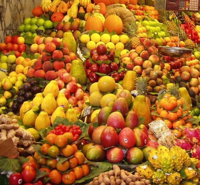 मोरङको डाइनियामा फलफूल केन्द्र – KhabarPurwanchal